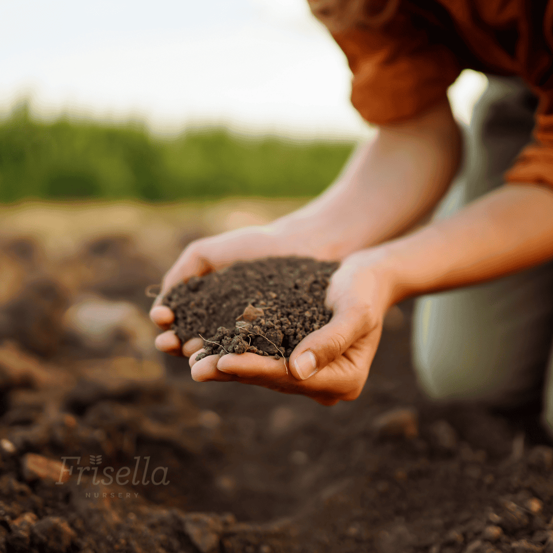 Eco-friendly Fertilizer Additives: A Step Towards Sustainable Agriculture